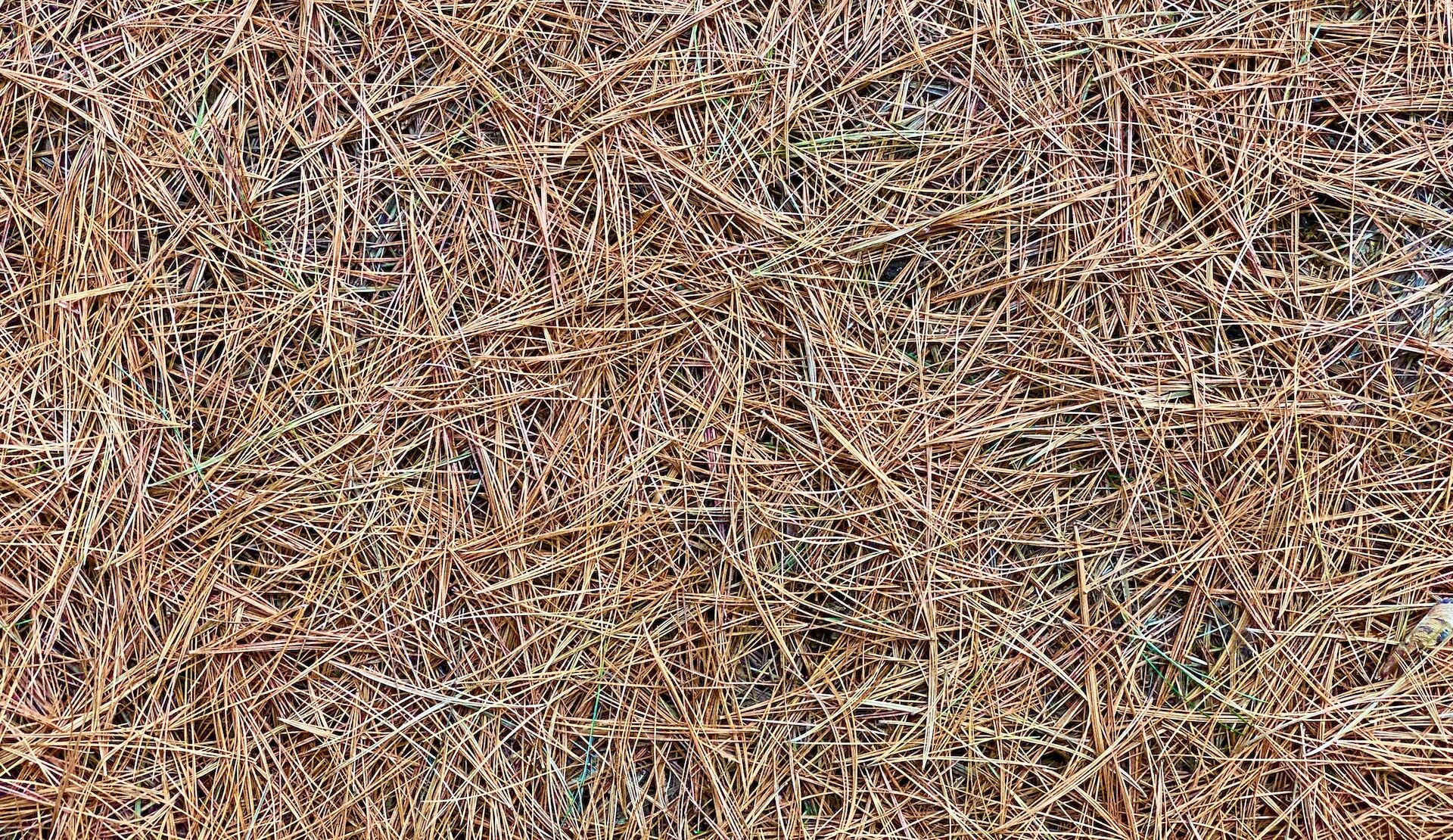 Finding the perfect candidate - HarveyJohn